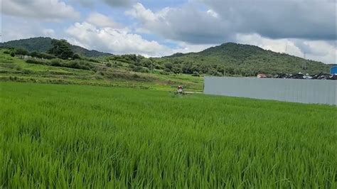 농업용 드론항공 자동방제 1차 작업 Youtube