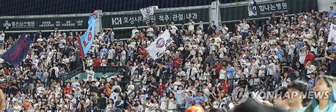 봄데라고 이번엔 다르다롯데 가을야구 기대에 부산 들썩