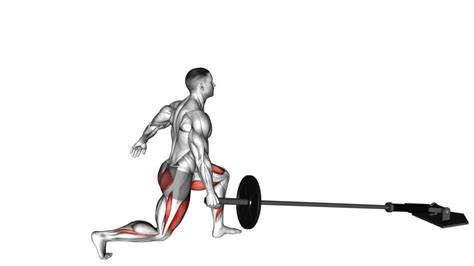 Landmine Rear Lunge Ultimate Exercise Guide And Tips