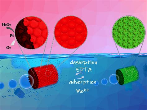 Self Propelled Micromotors Remove Heavy Metal Ions Chemistryviews
