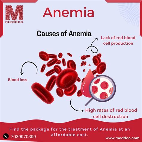 Review On Anemia Blood Disorder