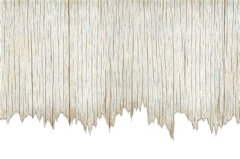 Detailed Analysis Of Health Data Represented Through A Pie Chart With Distinct Segments In An