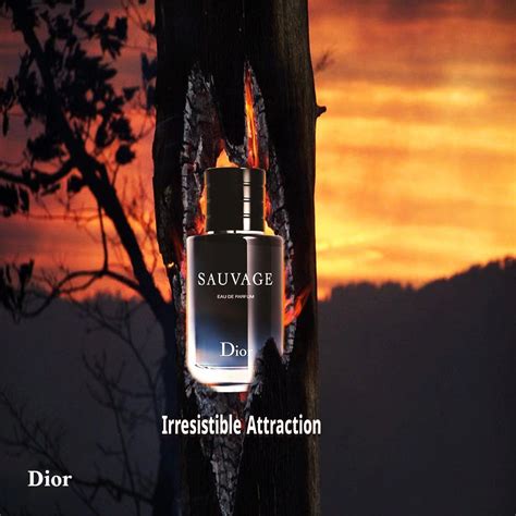 mohamed abotaleb on linkedin sauvagedior جرافيكــديزاين