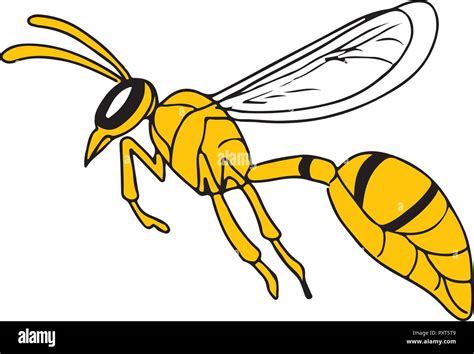 Drawing Sketch Style Illustration Of A Wasp Or Hornet Flying Viewed