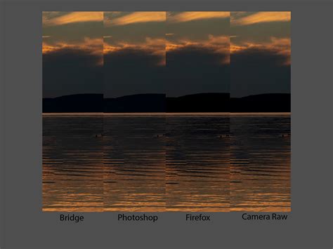 Solved Different Color Rendering Br Vs Ps Vs Firefox Vs Adobe