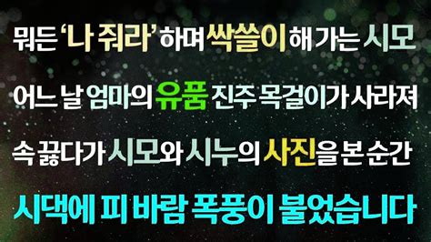 시댁사이다 나 줘라 하며 싹쓸이 하는 시모 엄마의 유품 진주목걸이가 사라지고 시모와 시누의 사진을 본 순간 시댁에 폭풍이 사연라디오 라디오드라마 칠썰 썰남 그썰 신청