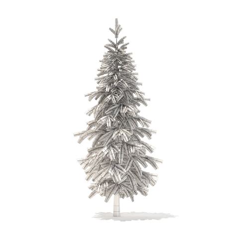 Fir Tree 2 6m 3d Model Download Trees On