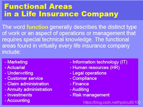 保险业务与系统——loma 290 保险公司运营——第四讲——保险公司组织架构 保险组织架构职能及逻辑是什么 Csdn博客