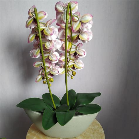 ᐉ Штучна латексна орхідея Vip у бежевому керамічному кашпо на дві гілки Бордовий градієнт