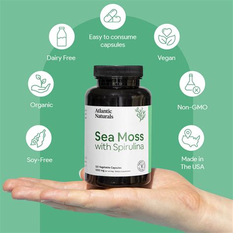 Sea Moss With Spirulina Benefits Of The Duo Atlantic Naturals