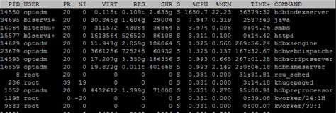 Como Prevenir A Alta Carga De Cpu No Hana E Sap Para Evitar Travamentos