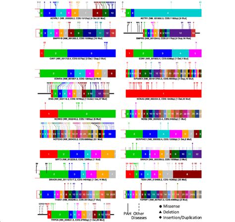 Mutations Reported And Curated From The 21 Genes Having Evidences Of Download Scientific