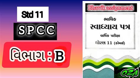 Std 11 Bhavik Assignment Solution Spcc Section B Bhavik Assignment Solution Youtube