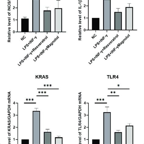 Rt Qpcr Results For Validation Over Three Independent Experiments Data Download Scientific