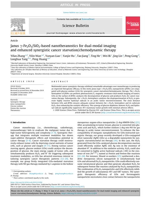 Pdf Janus γ Fe2o3sio2 Based Nanotheranostics For Dual Modal Imaging