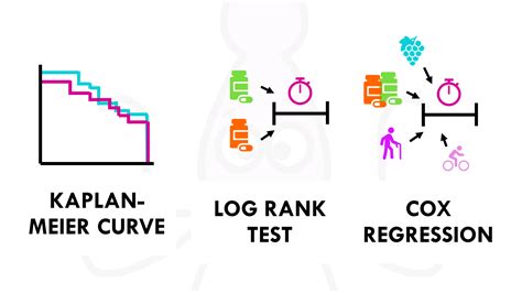 Kaplan Meier Curve Easily Explained