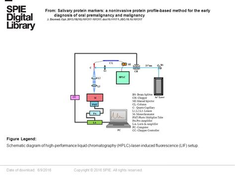Draw And Label A Schematic Diagram Of Hplc Circuit Diagram