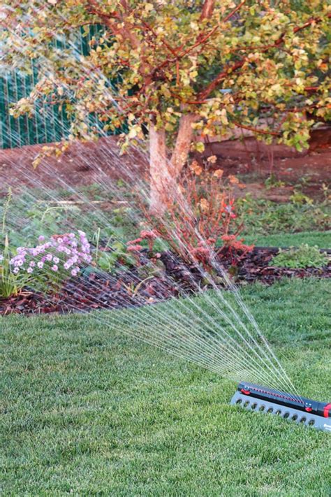 Watering Tips For Seattle Landscapes In Harmony Sustainable Landscapes Sustainable