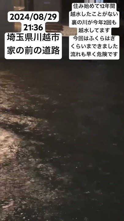 【埼玉県川越市】住み始めて12年間越水したことがない裏の小さな川が今年2回も越水してます。 越水 洪水 冠水 台風 ゲリラ豪雨 Youtube