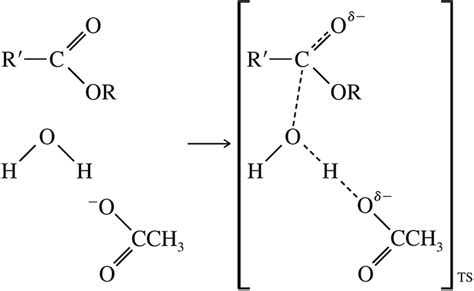 From Covalent Transition States In Chemistry To Noncovalent In Biology From β To Φ Value