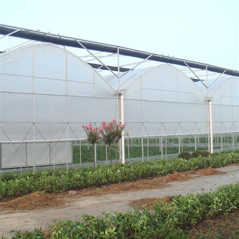 连栋温室 连栋薄膜温室 智能连栋温室 青州市振和温室工程有限公司