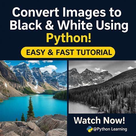 Python Learning Python Learning Added A New Photo