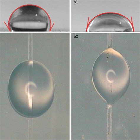 The Water Contact Angle On A1 Native Pdms And B1 Psnspss Coated Download Scientific