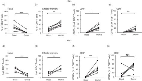 T Cell Phenotyping In Human Testes Orchid And Blood Of Uninfected