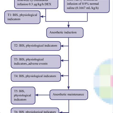 Protocol Of Monitored Anesthetic Care Mac Using Dexmedetomidine Download Scientific Diagram
