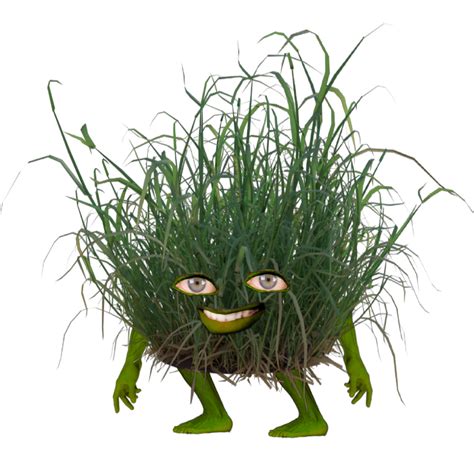 Image Real Grassy111111png Battle For Dream Island Wiki