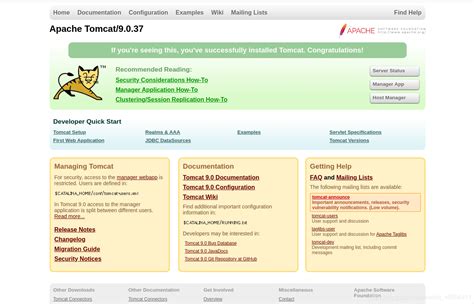 【linux】tomcat启动异常，显示tomcat Started实际却没启动小皮面板安装完成后开启tomcat一直提示tomcat Started Csdn博客