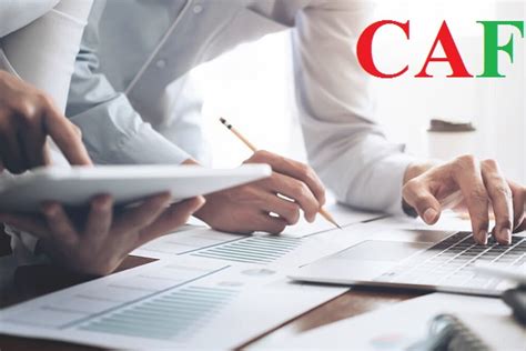 Kiểm toán ở Chợ Mới tỉnh An Giang Công Ty TNHH Dịch Vụ Tư Vấn CAF