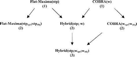 Nested Relationship Among The Decision Bound Models Applied Download Scientific Diagram