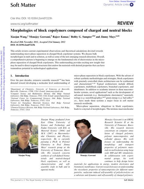 Pdf Morphologies Of Block Copolymers Composed Of Charged And Neutral