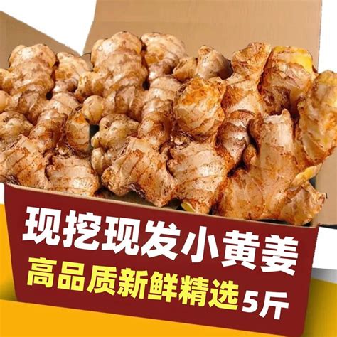 云南正宗小黄姜现挖生姜香辣老姜产地直发当季新鲜蔬菜热卖整箱装 5斤精选小黄姜【实惠装】【图片 价格 品牌 报价】 京东