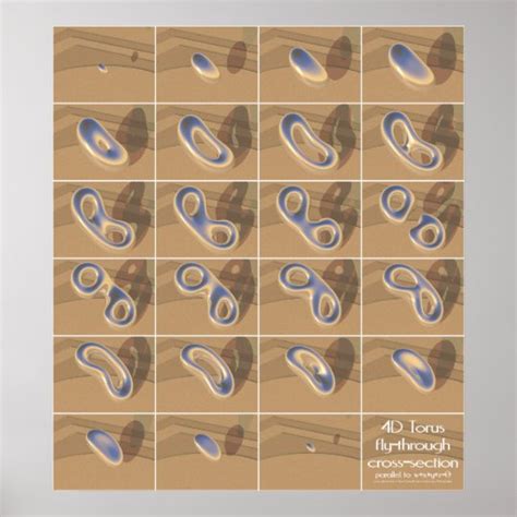 4d Torus Fly Through Cross Section Poster Zazzleca