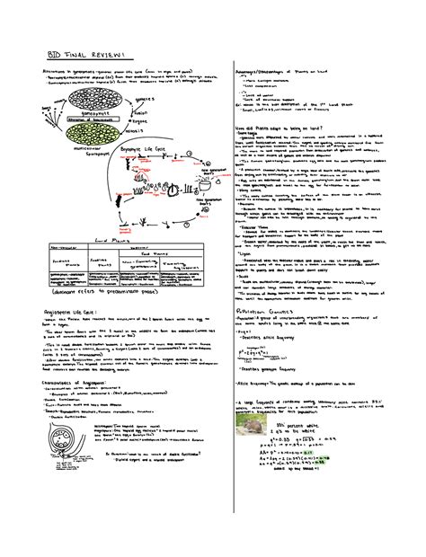 Bio 110 Final Review Biofinal Review