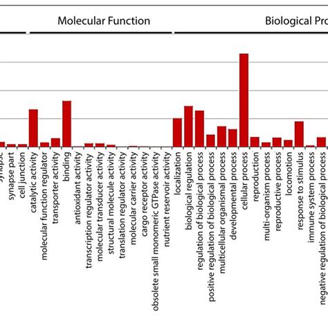 Go Annotation Of Symbiotic Nematode Specific Transcripts Wego Web Download Scientific Diagram