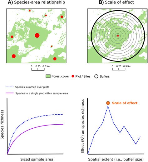 Most Common Spatial Scaling Of Biodiversity Aspeciesarea Download Scientific Diagram