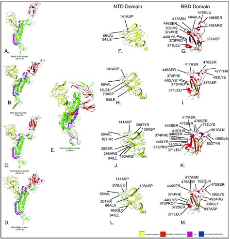 Comparative Mutation Analysis Of Ntd And Rbd Domain Of Omicron Spike