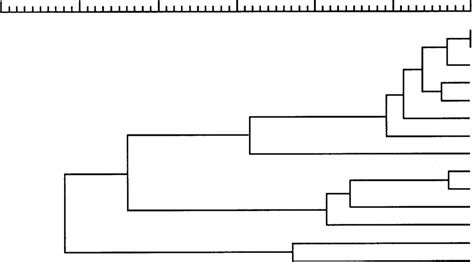 Dendrogram Based On The Numerical Analysis Of 100 Phenotypic Traits It Download Scientific