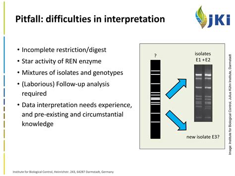 Use Of Next Generation Sequencing Techniques For Characterisation Of