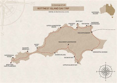 The Perfect One Day Trip To Rottnest Island 2022 Guide