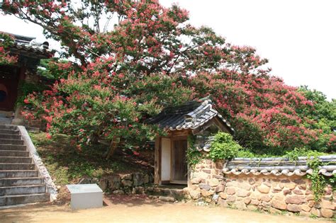 삼선포럼 우리가 일본을 알기나 할까 2019711 우리나라 대부분 사람은 일본에 대해 두 가지 감정을 갖는다 은혜를 모르고 임진왜란과 일제 강점의 모욕을 준
