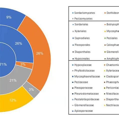 Classification Of Endophytic Fungi N 34 Associated With Mango Leaves Download Scientific