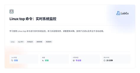 Linux Top 命令教程：实时系统监控 Labex