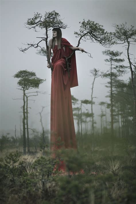 Do Trees Talk To Each Other Artofit