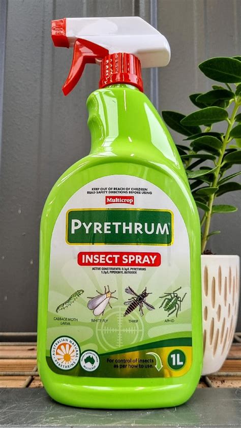 Pyrethrum Insect Spray Ready To Use 1l Avalon Nursery