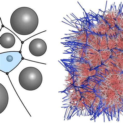 The Left Image Shows An Illustration Of A Two Dimensional Voronoi