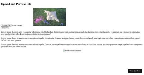 React Screen Capture Forked Codesandbox React Screen Capture Forked Codesandbox